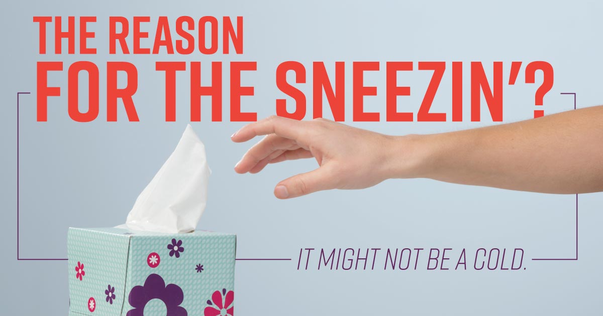 Are you ready for ragweed season?